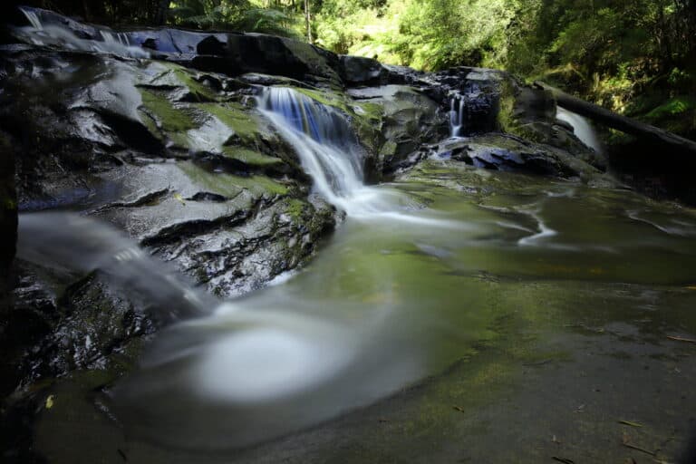 15 Best Things to Do in Traralgon (Australia) - The Crazy Tourist