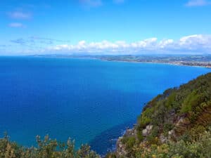 15 Best Things to Do in Wynyard (Australia) - The Crazy Tourist