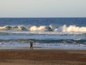 15 Best Things to Do in Taree (Australia) - The Crazy Tourist