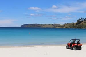 15 Best Things to Do in Wynyard (Australia) - The Crazy Tourist