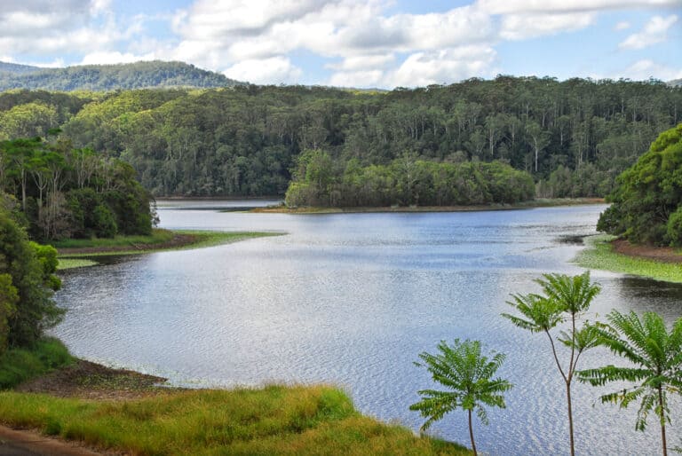 15 Best Things to Do in Lismore (Australia) - The Crazy Tourist