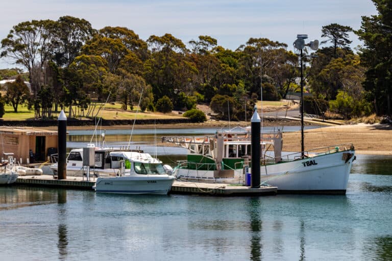 15 Best Things to Do in Wynyard (Australia) - The Crazy Tourist