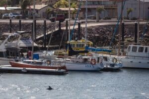 15 Best Things to Do in Whyalla (Australia) - The Crazy Tourist