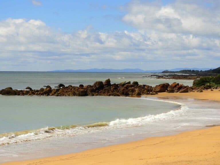 15 Best Things to Do in Wynyard (Australia) - The Crazy Tourist