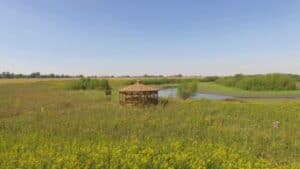 15 Best Things to Do in Charleston (IL) - The Crazy Tourist