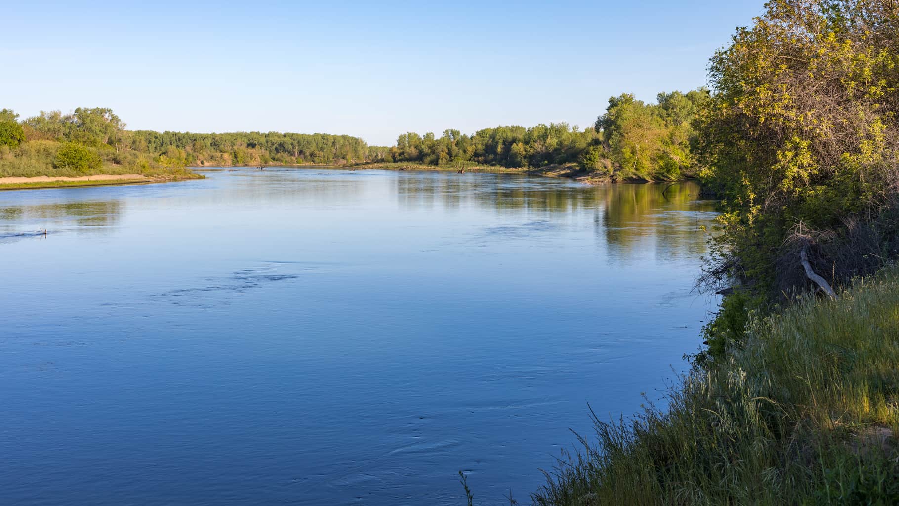 15 Best Things to Do in Chico (CA) - The Crazy Tourist