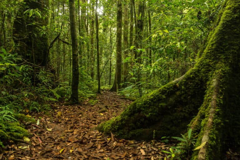 15 Best Things to Do in Warwick (Australia) - The Crazy Tourist