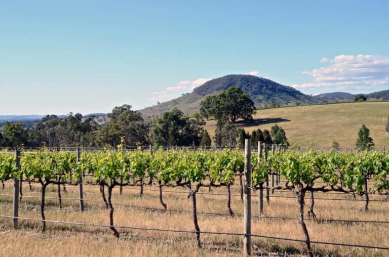 15 Best Things to Do in Mudgee (Australia) - The Crazy Tourist