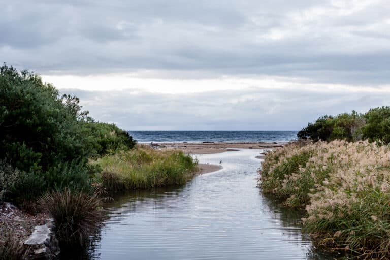 15 Best Things to Do in Ulverstone (Australia) - The Crazy Tourist