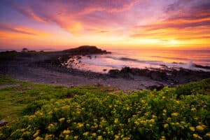 15 Best Things to Do in Kempsey (Australia) - The Crazy Tourist