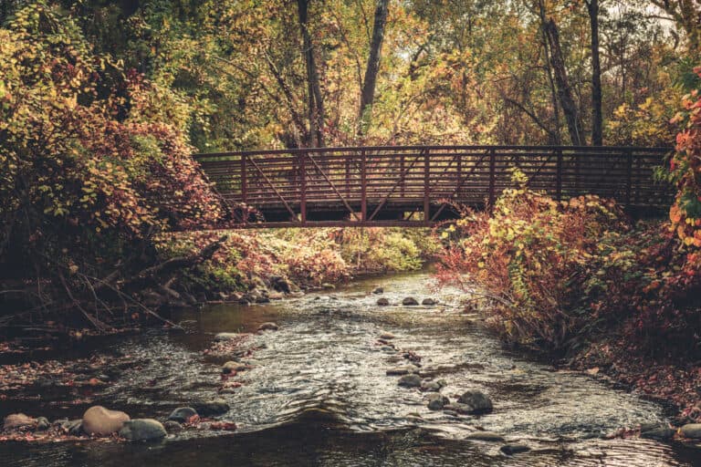 15 Best Things to Do in Chico (CA) - The Crazy Tourist