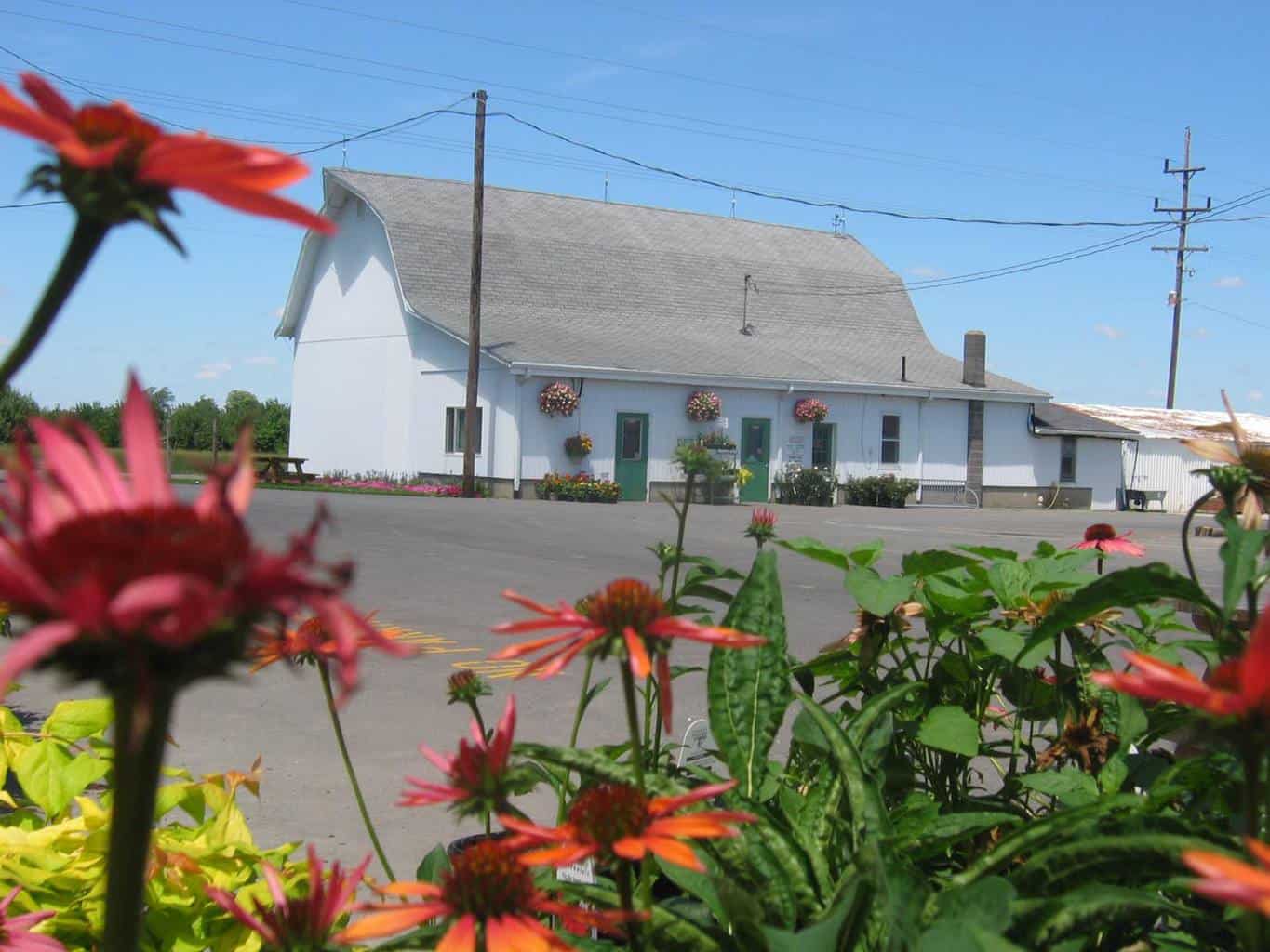 15 Best Things to Do in Greenfield (Indiana) - The Crazy Tourist