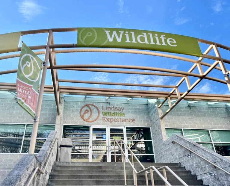 15 Best Things to Do in Walnut Creek (CA) - The Crazy Tourist