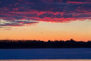 15 Best Things to Do in Ames (Iowa) - The Crazy Tourist