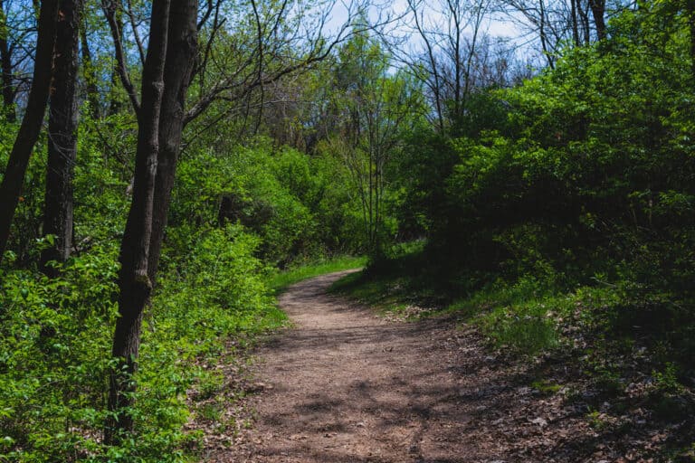 15 Best Things to Do in Elkhart (IN) - The Crazy Tourist