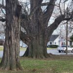 15 Best Things to Do in Owensboro (KY) - The Crazy Tourist