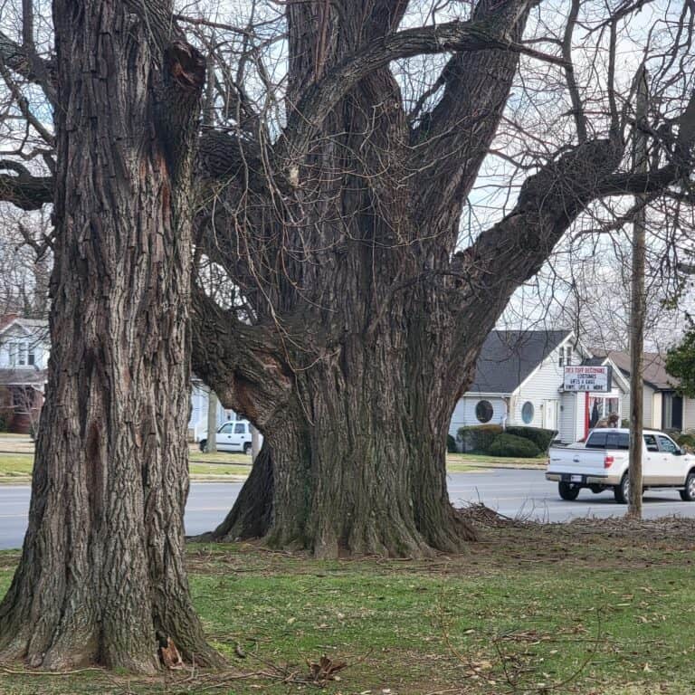 15 Best Things to Do in Owensboro (KY) - The Crazy Tourist