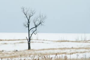 15 Best Things to Do in Gary (IN) - The Crazy Tourist