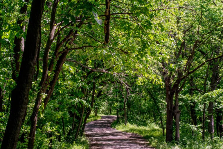 15 Best Things to Do in Lansing (Kansas) - The Crazy Tourist