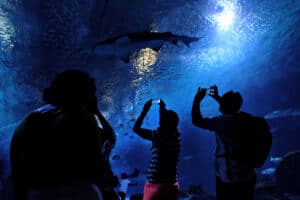 15 Best Things to Do in Valencia (Spain) - The Crazy Tourist