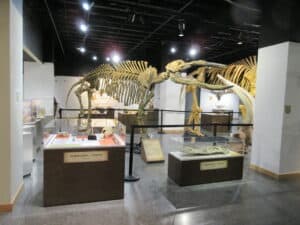 15 Best Things to Do in Lafayette (LA) - The Crazy Tourist