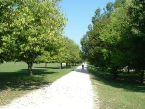 15 Best Things to Do in Lyndon (KY) - The Crazy Tourist