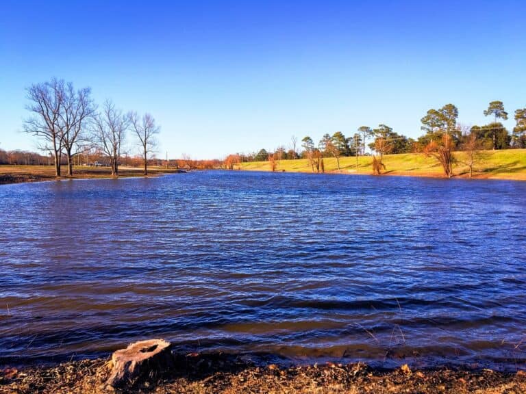 15 Best Things to Do in Monroe (LA) - The Crazy Tourist