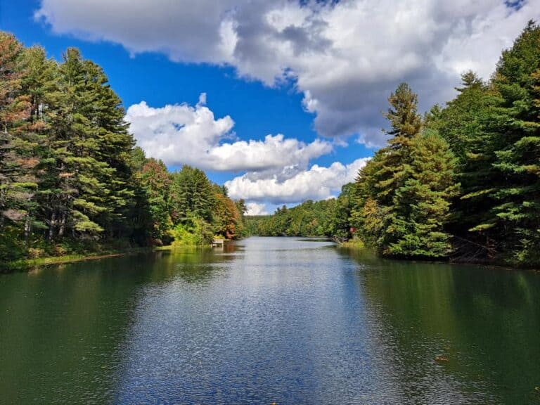 15 Best Things to Do in West Springfield (MA) - The Crazy Tourist