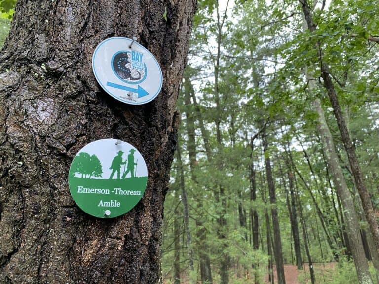 15 Best Things to Do in Andover (MA) - The Crazy Tourist