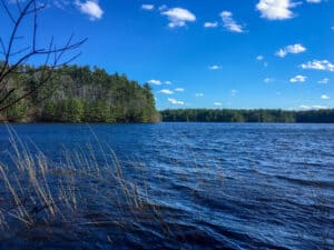 15 Best Things to Do in Raynham (MA) - The Crazy Tourist