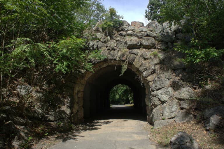 15 Best Things to Do in Brookline (MA) - The Crazy Tourist