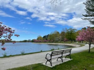 15 Best Things to Do in Brookline (MA) - The Crazy Tourist