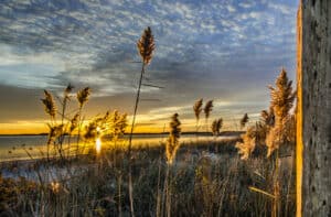 15 Best Things to Do in Barnstable (MA) - The Crazy Tourist