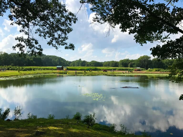 15 Best Things to Do in Danvers (MA) - The Crazy Tourist