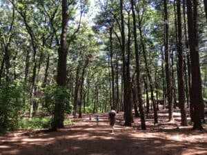 15 Best Things to Do in Belmont (MA) - The Crazy Tourist