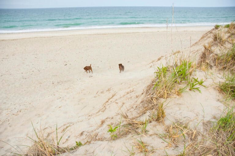 15 Best Things to Do in Marshfield (MA) - The Crazy Tourist