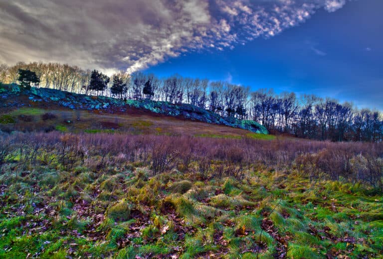 15 Best Things to Do in Canton (MA) - The Crazy Tourist