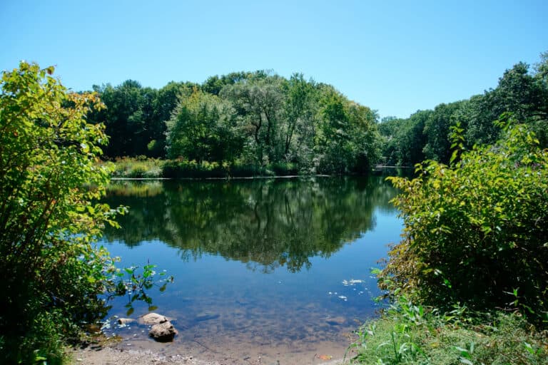 15 Best Things to Do in Needham (MA) - The Crazy Tourist