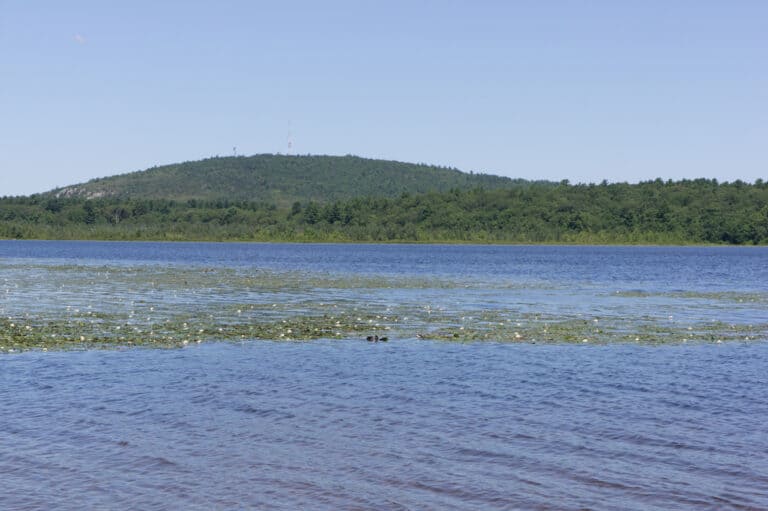 15 Best Things to Do in Canton (MA) - The Crazy Tourist