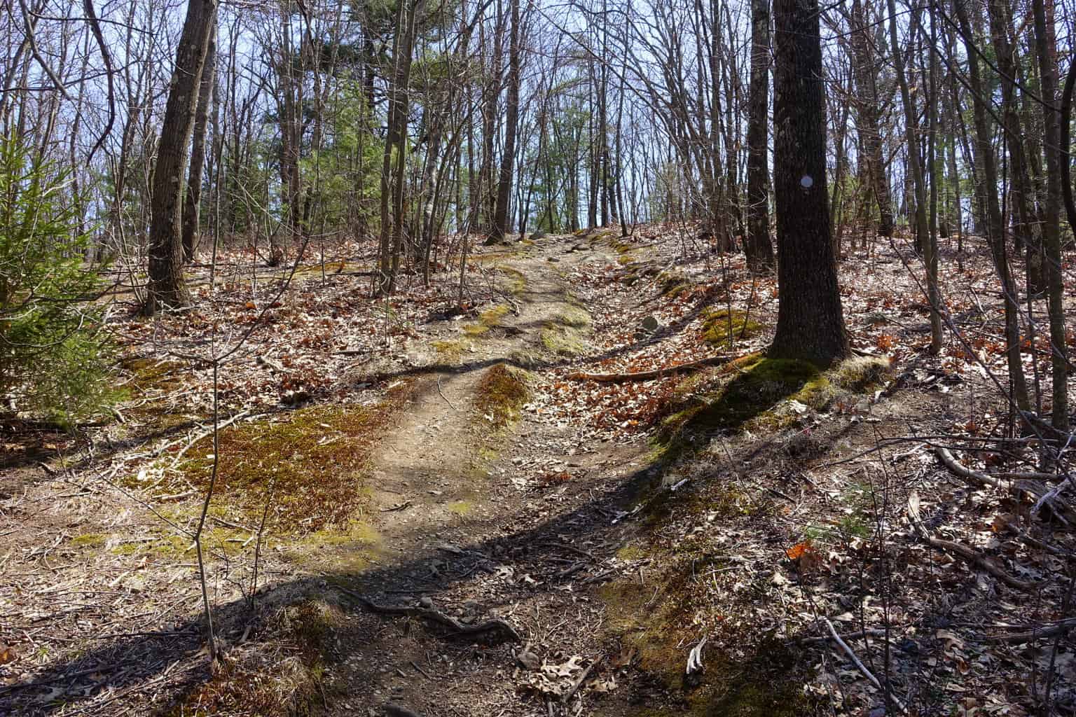 15 Best Things to Do in Winchester (MA) - The Crazy Tourist