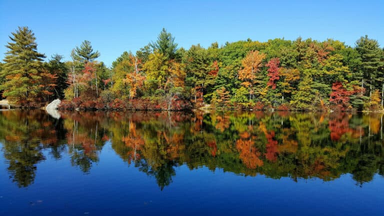 15 Best Things to Do in Gardner (MA) - The Crazy Tourist