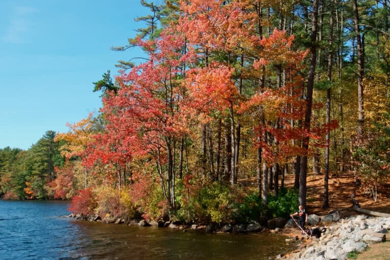 15 Best Things to Do in Hopkinton (MA) - The Crazy Tourist