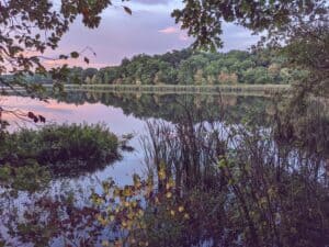 15 Best Things to Do in Dedham (MA) - The Crazy Tourist