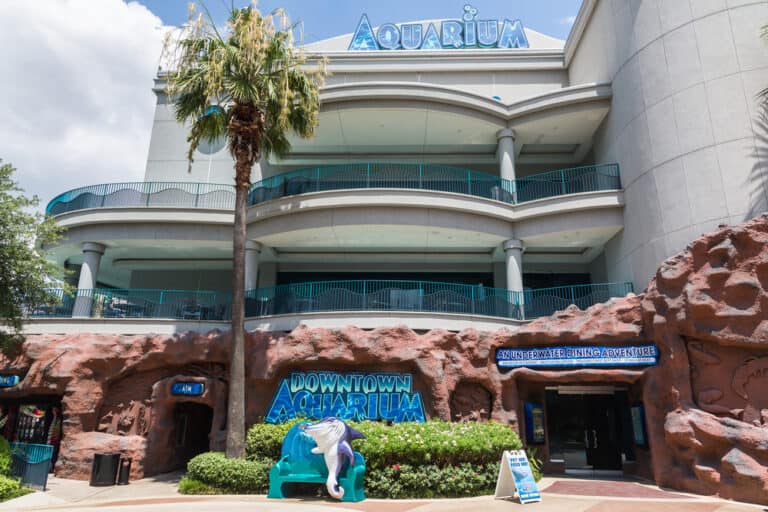 25 Best Things to Do in Houston (Texas) - The Crazy Tourist