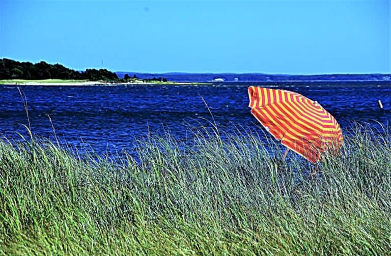 15 Best Things to Do in Wareham (MA) - The Crazy Tourist