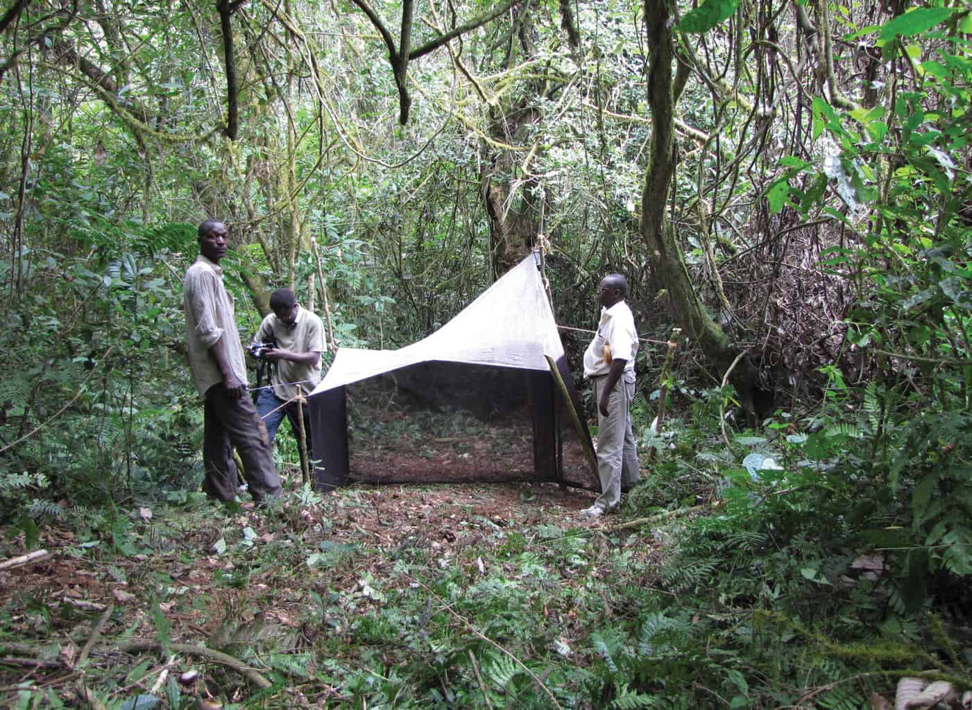 15 Best Places to Visit in Burundi - The Crazy Tourist