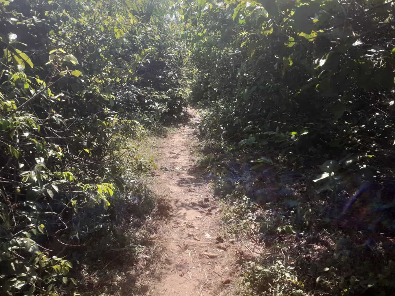 15 Best Places to Visit in Burundi - The Crazy Tourist