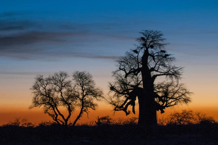 15 Best Places to Visit in Botswana - The Crazy Tourist