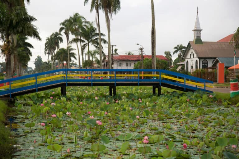 15 Best Places to Visit in Suriname - The Crazy Tourist