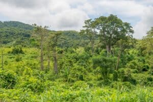 15 Best Places to Visit in Angola - The Crazy Tourist